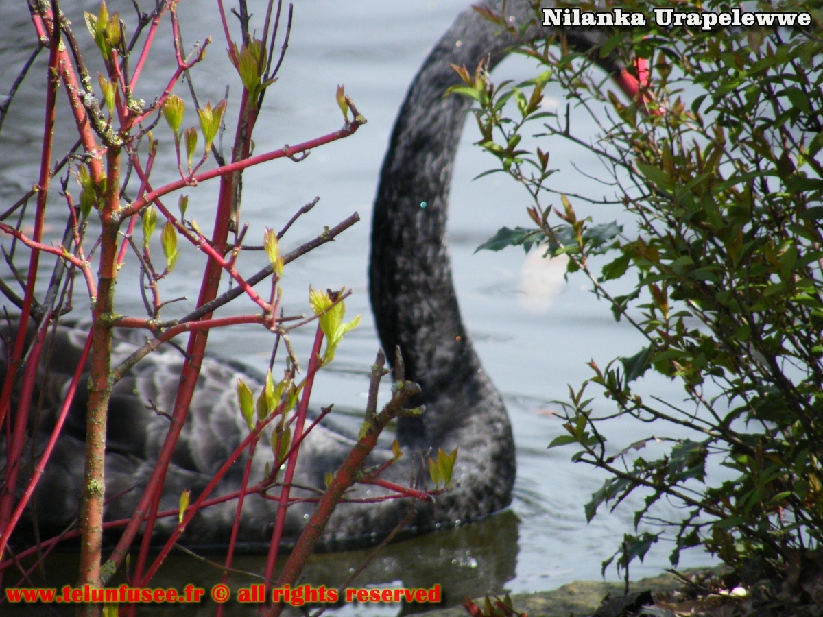 nilanka-urapelewwe-blog-voyage-france-paris-travel-blog-telunfusee-11 ...